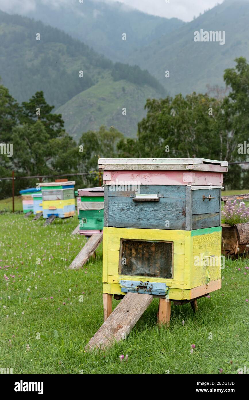 Bee hive on a high-mountain valley in the Altai Mountains Stock Photo ...