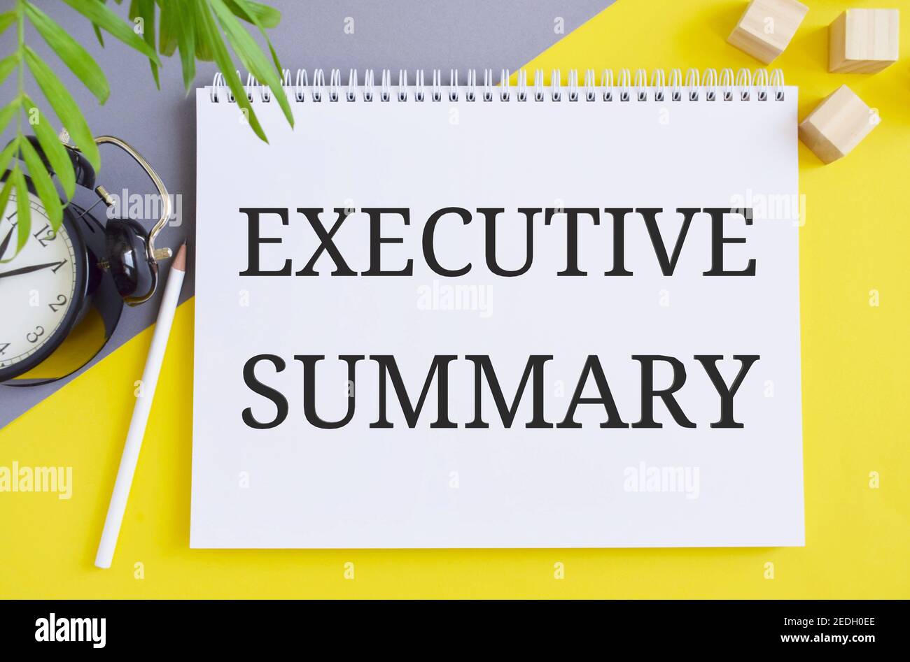 Executive Summary text written in Notebook. Concept for a short ...