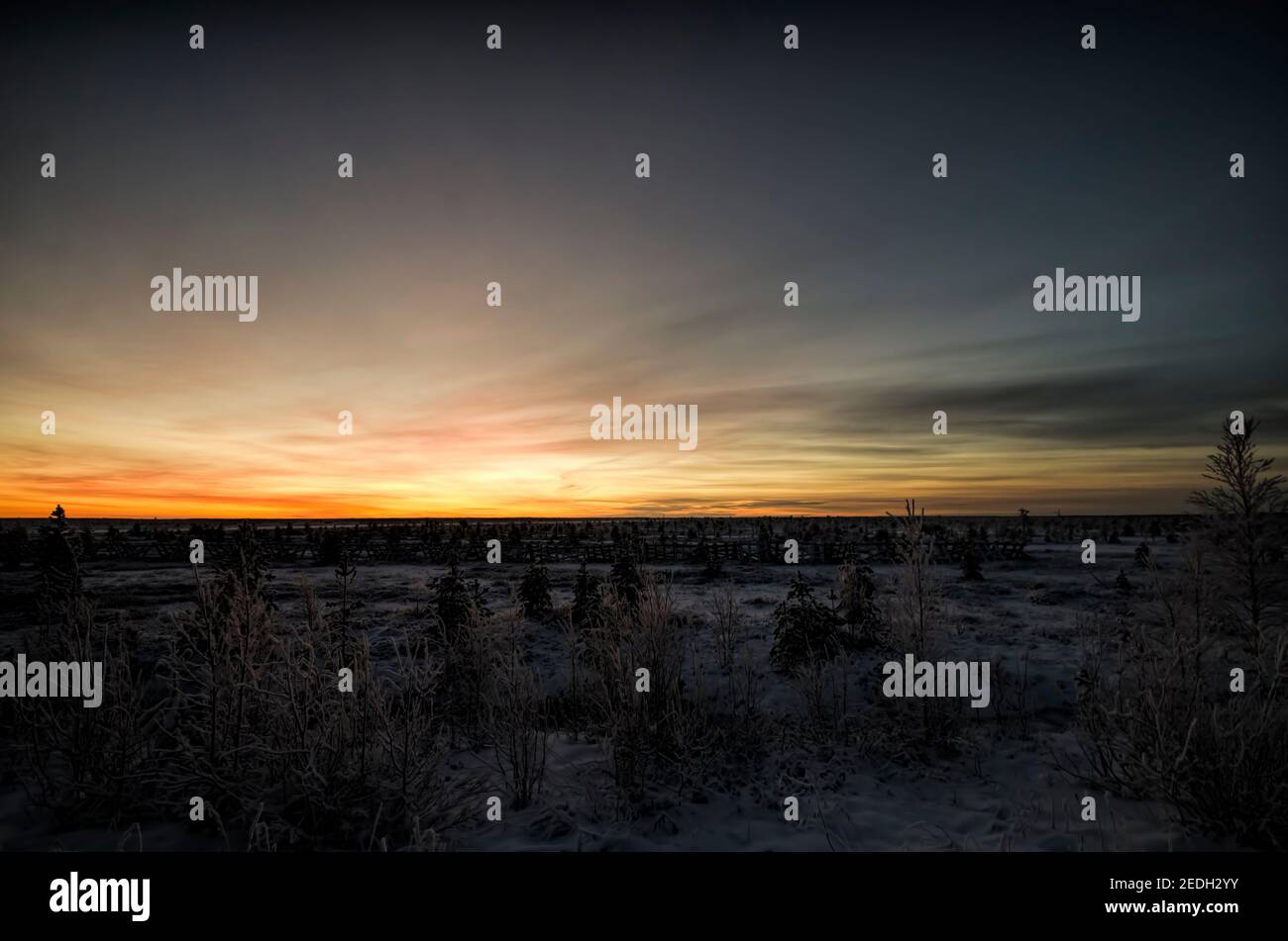 Tundra dawn hi-res stock photography and images - Alamy