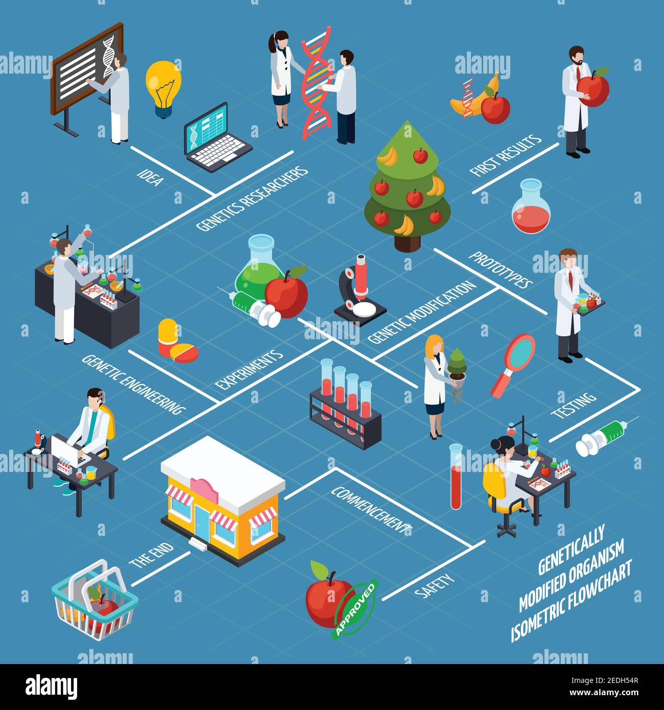 Genetically modified organism isometric flowchart from idea to result through research ...
