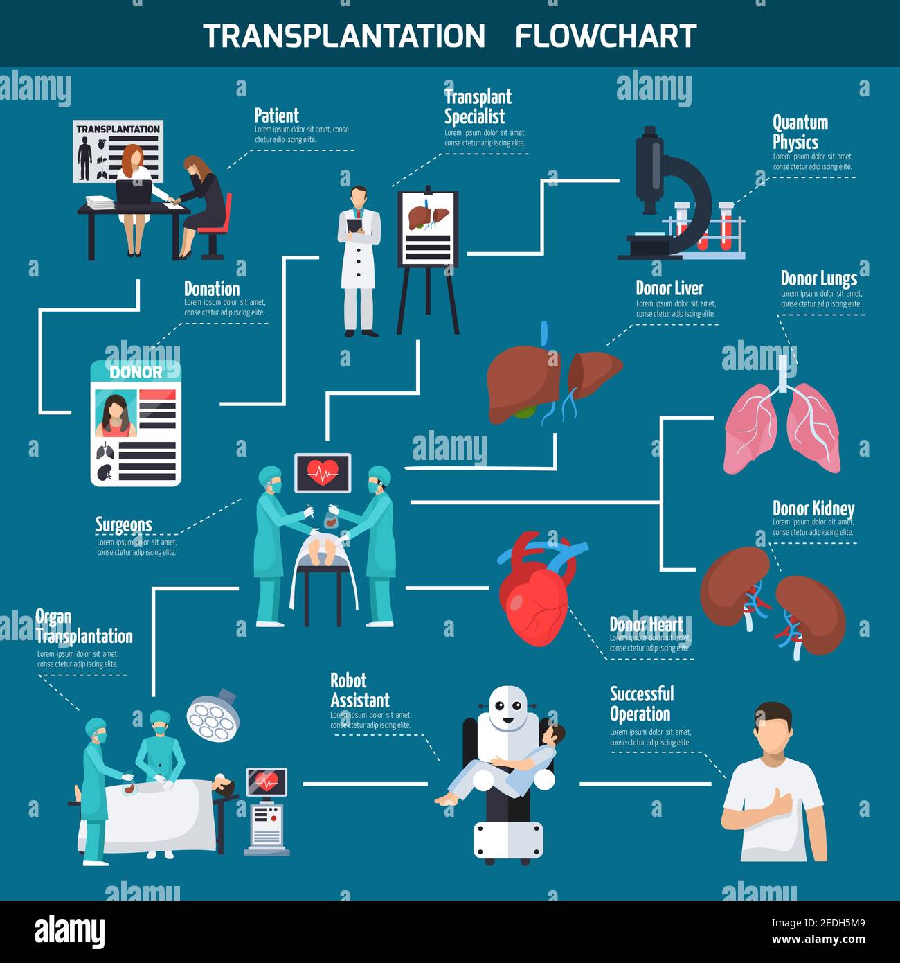 Transplantation flowchart layout with patient surgeons donor heart ...