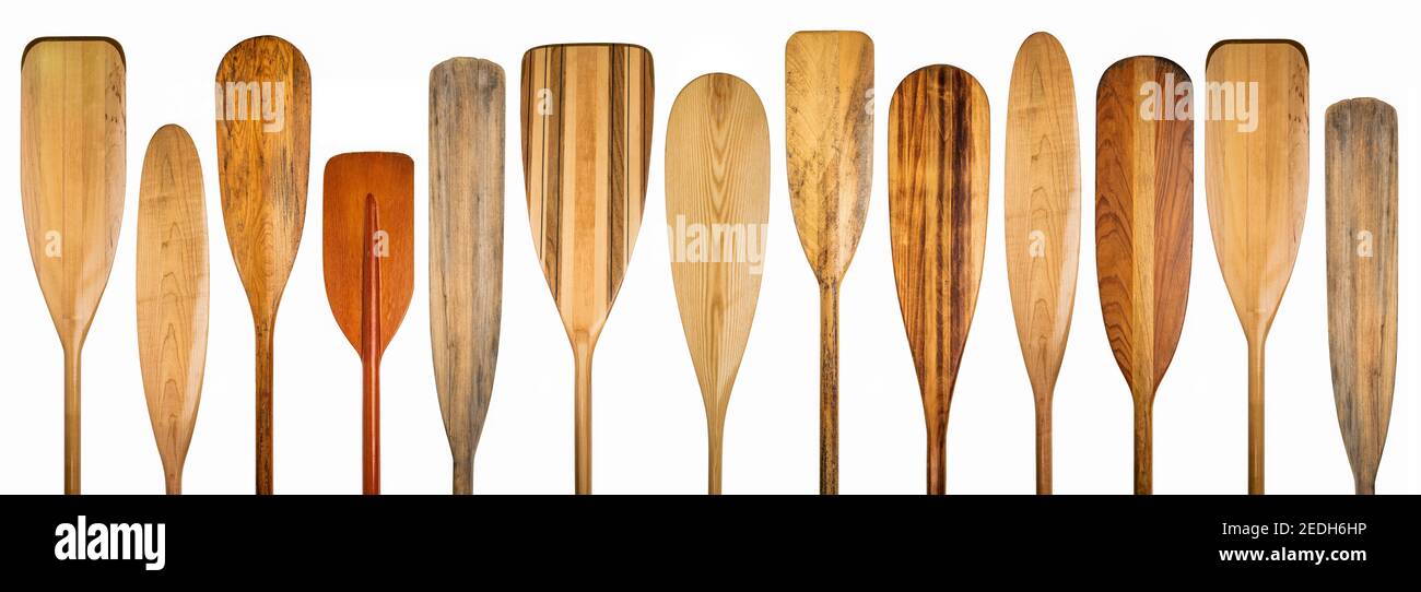 row of wooden canoe paddles, a variety of styles and shapes isolated on ...