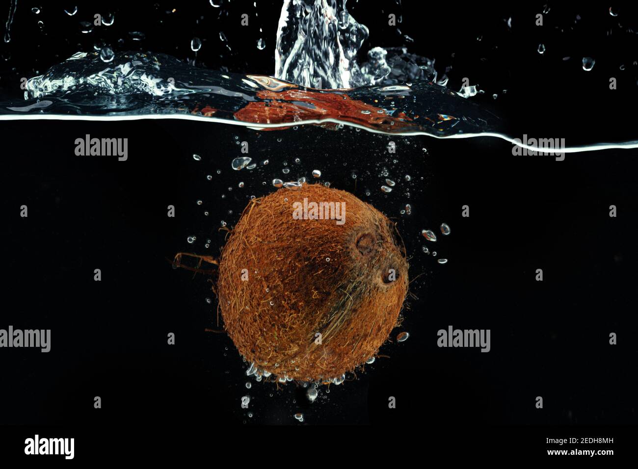 Coconut falling into the water with a splash against black background ...
