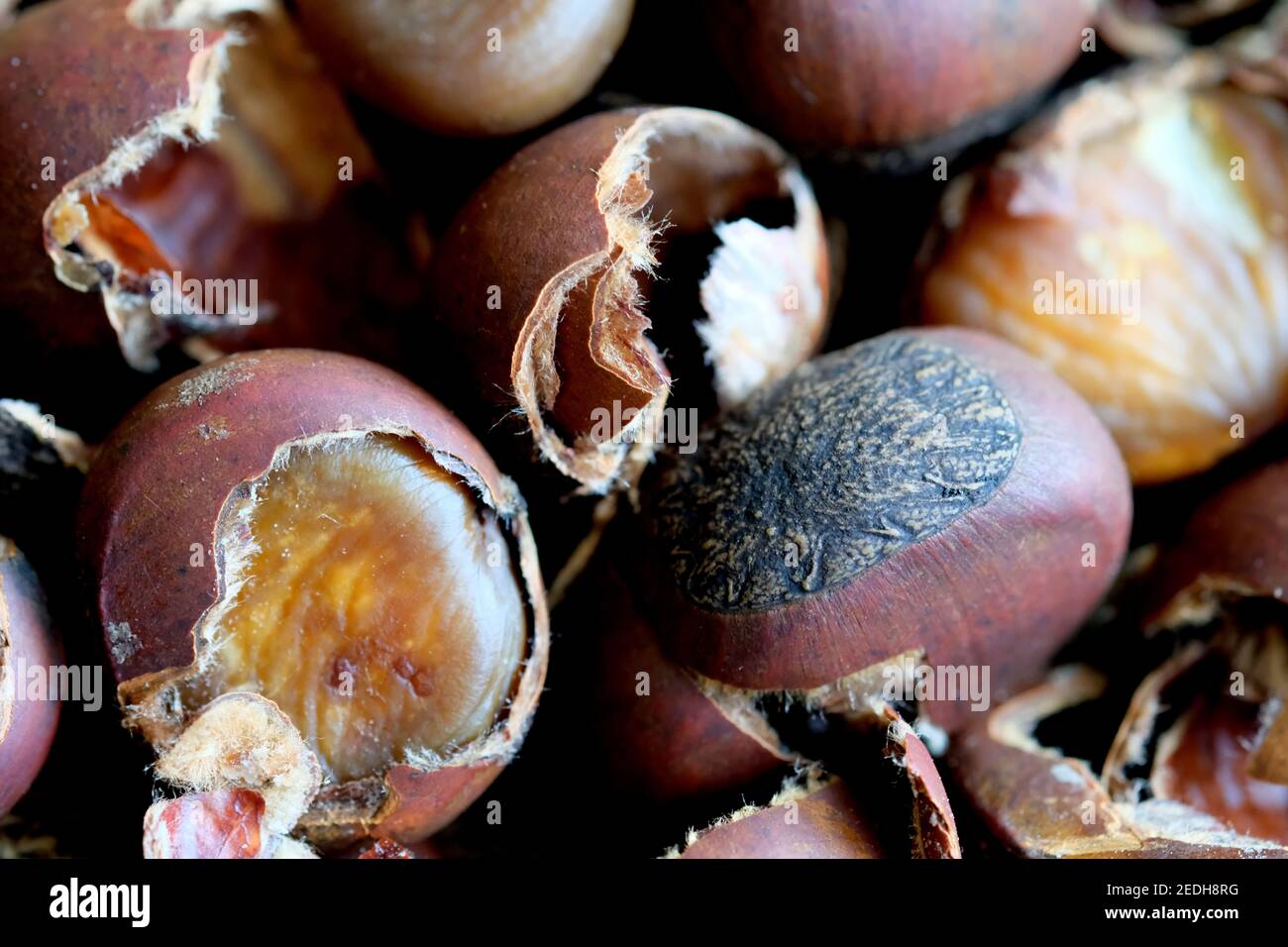 Japanese chestnuts - Roasted Stock Photo - Alamy