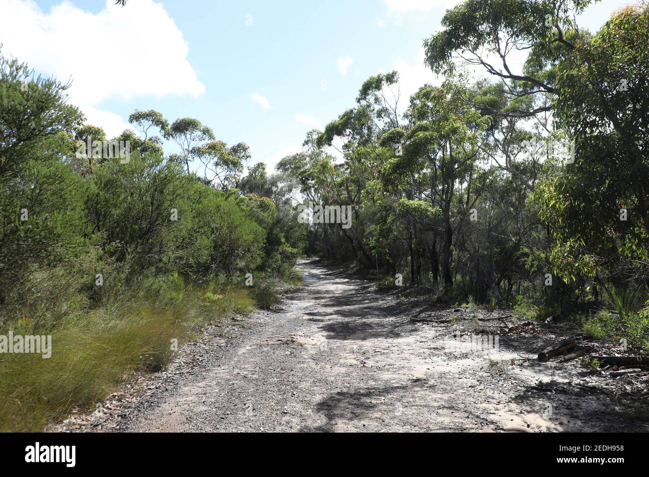 Uloola Falls Trail in the Royal National Park near Waterfall Stock ...