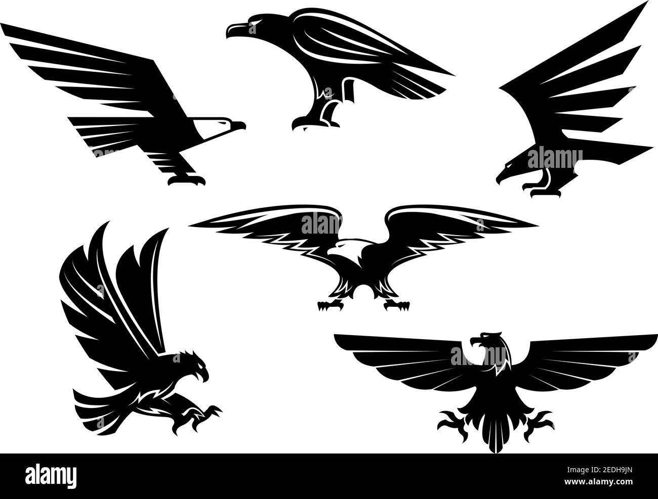 Vulture e Stock Vector Images - Alamy
