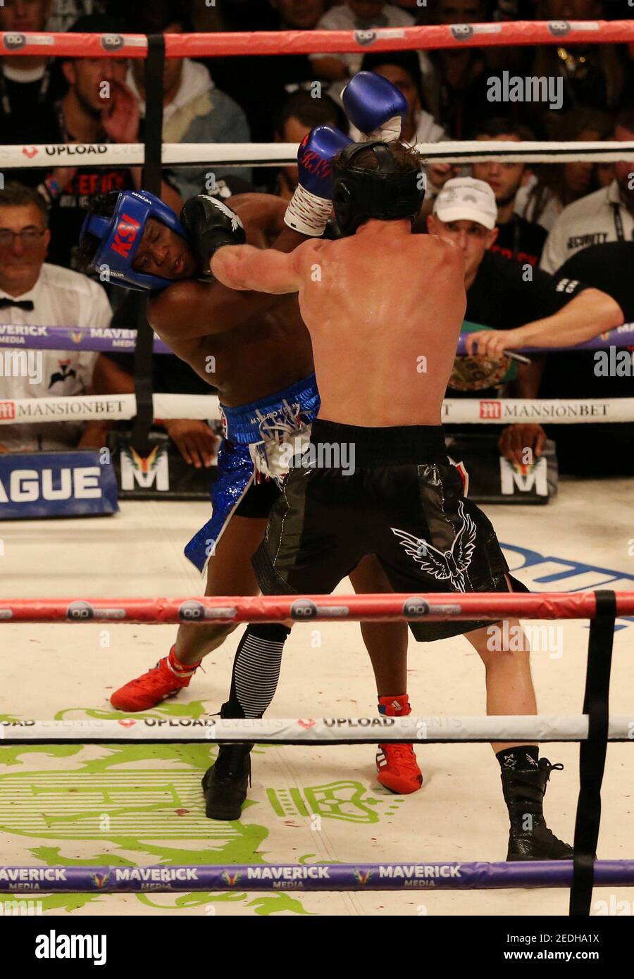 Logan paul boxing hi-res stock photography and images - Alamy