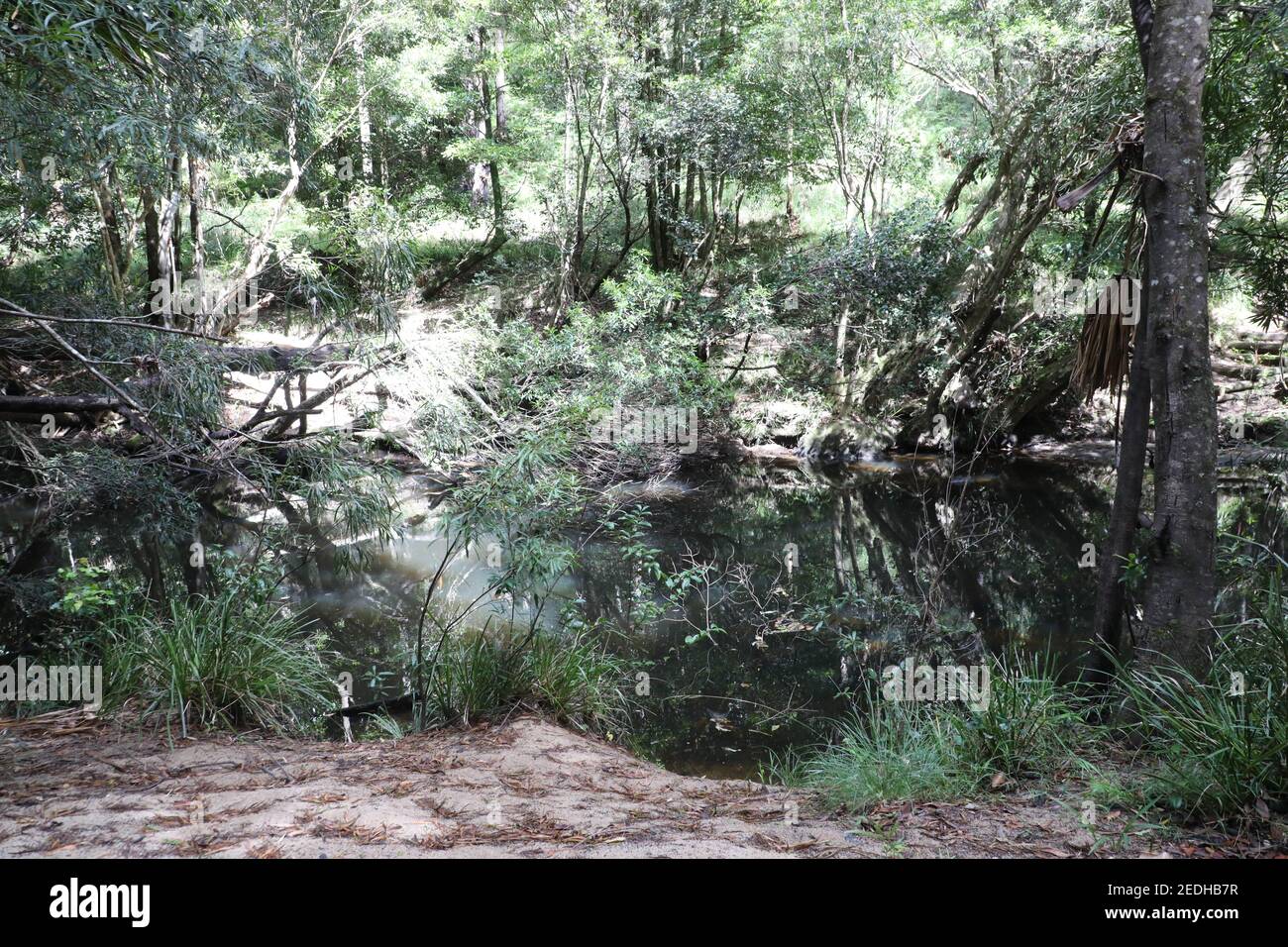 Hacking River in the Royal National Park where the Couranga Track meets ...