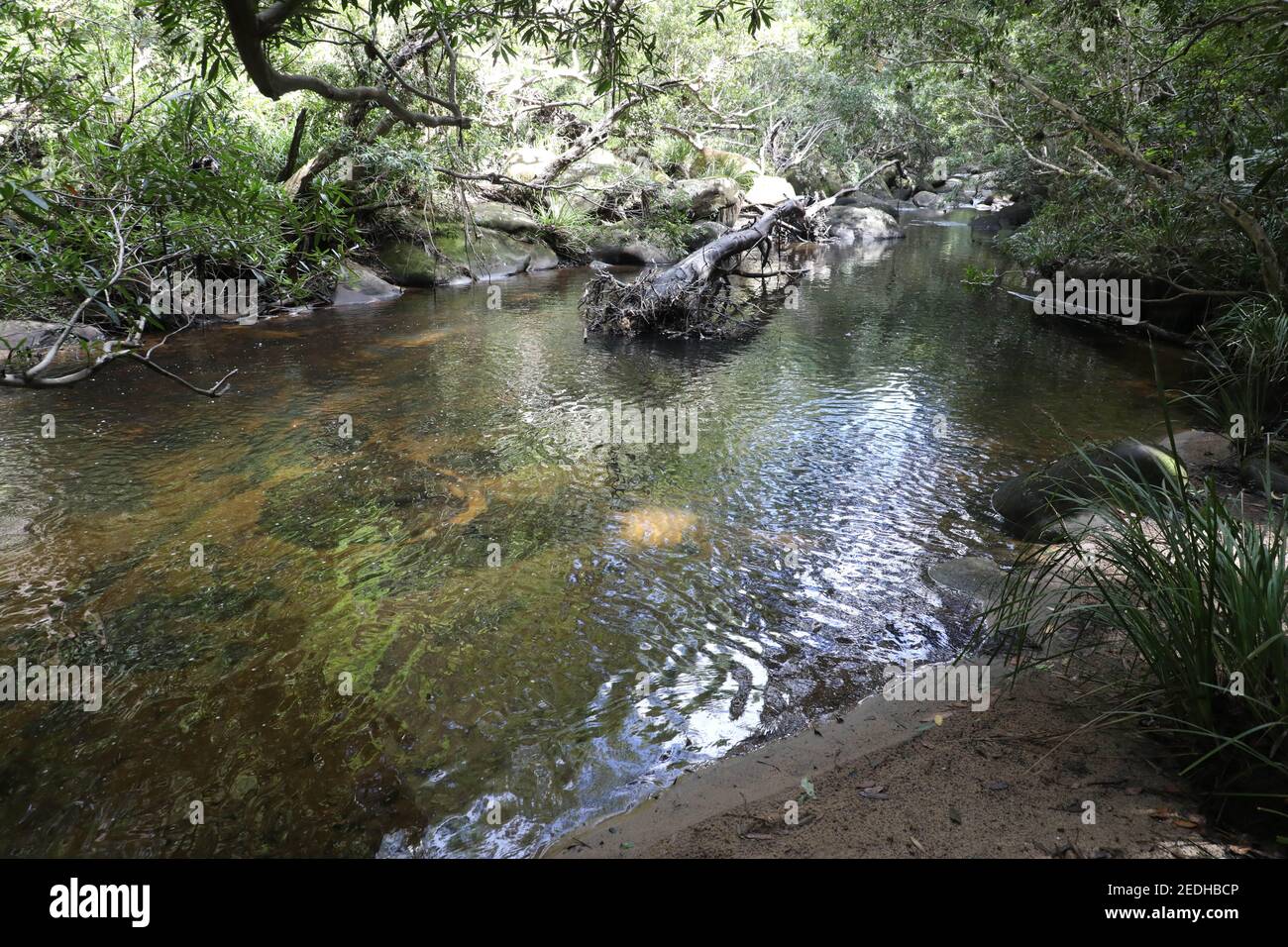 Hacking River in the Royal National Park where the Couranga Track meets ...