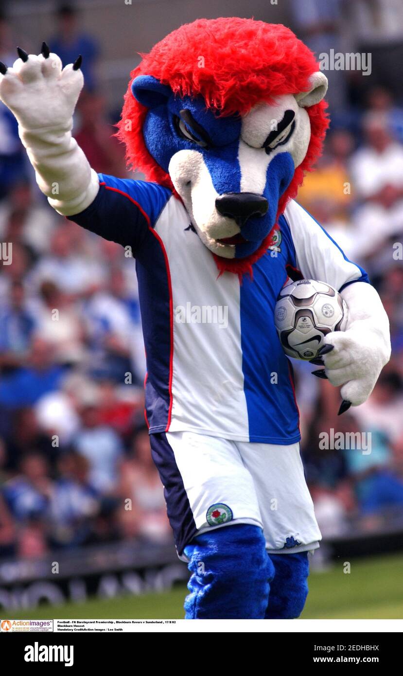 Sunderland mascot hi-res stock photography and images - Alamy