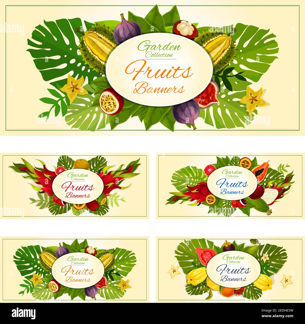 Fruit banners set of vector exotic fruits durian and mangosteen ...
