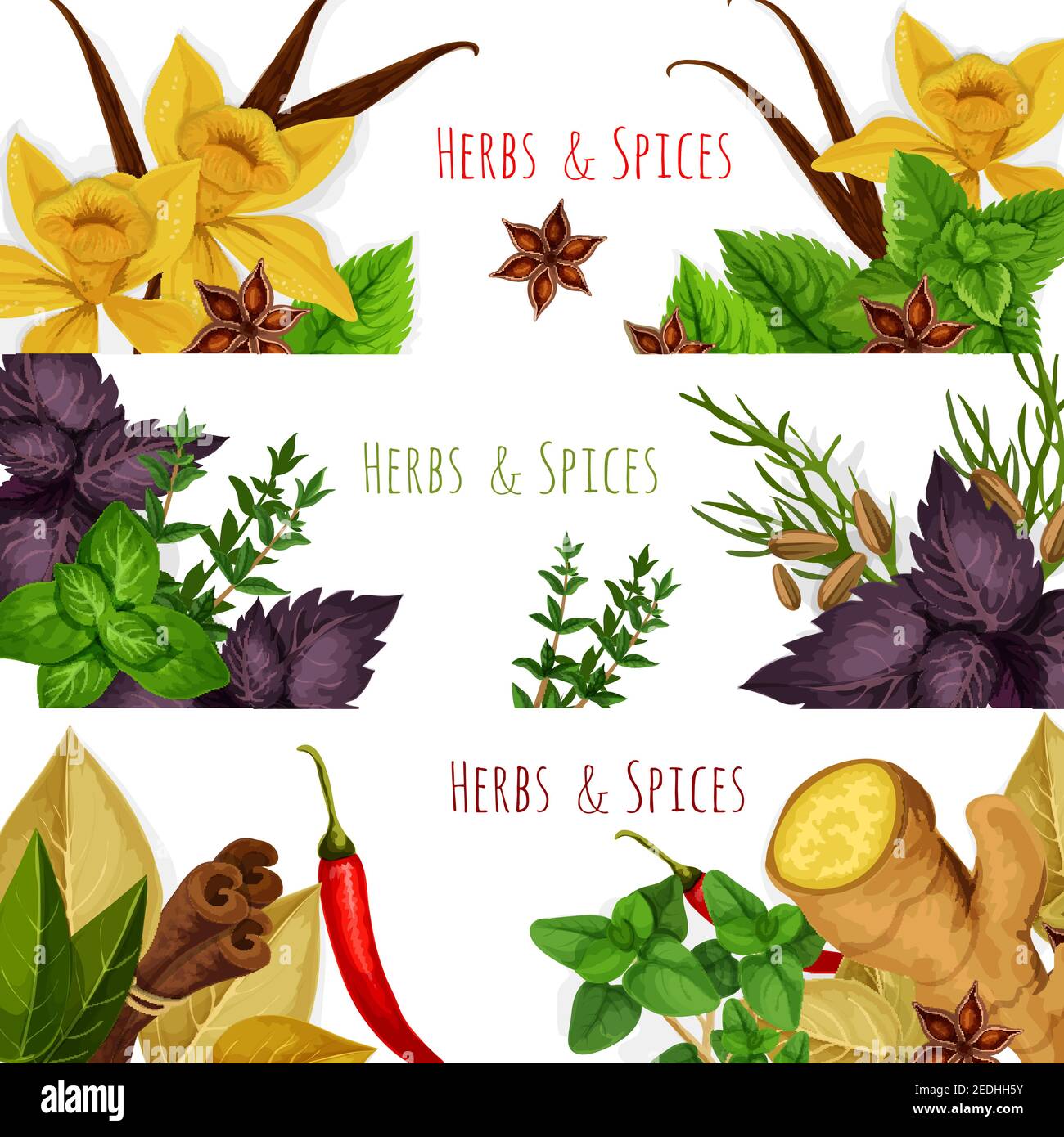 Pepper bay leaf Stock Vector Images - Alamy