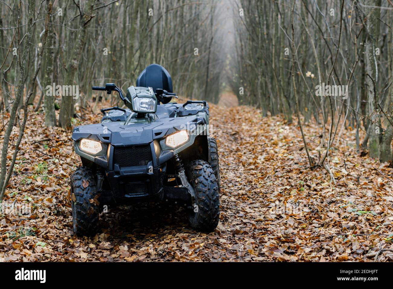 Travel without roads. ATV. A man rides through the forest on an all ...