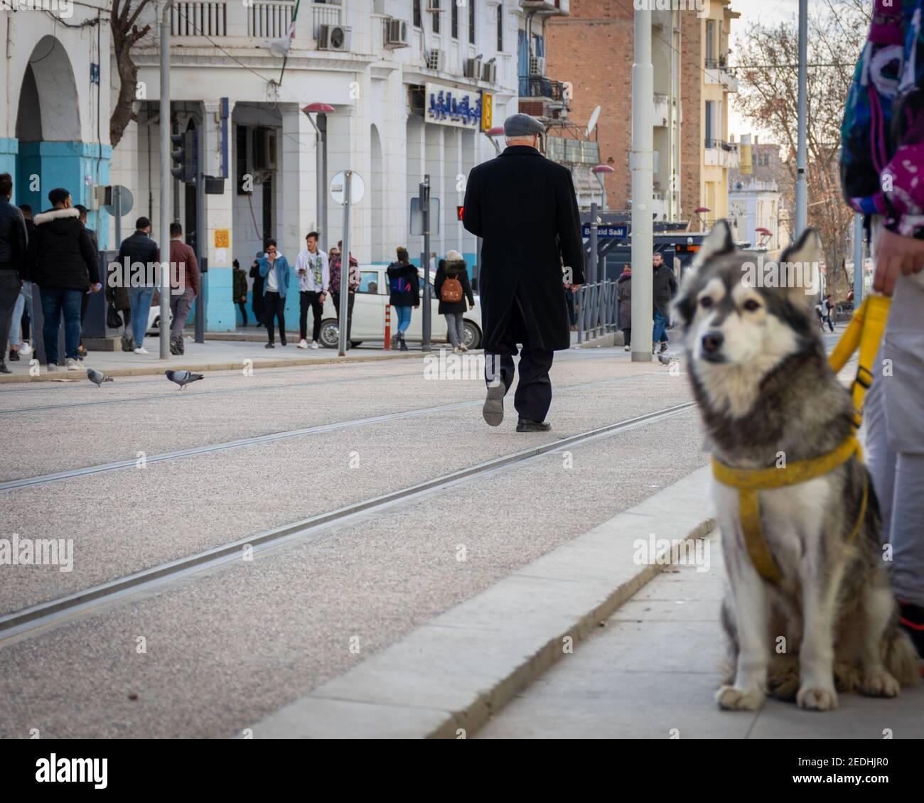 A beautiful view of Setif city downtown Stock Photo - Alamy