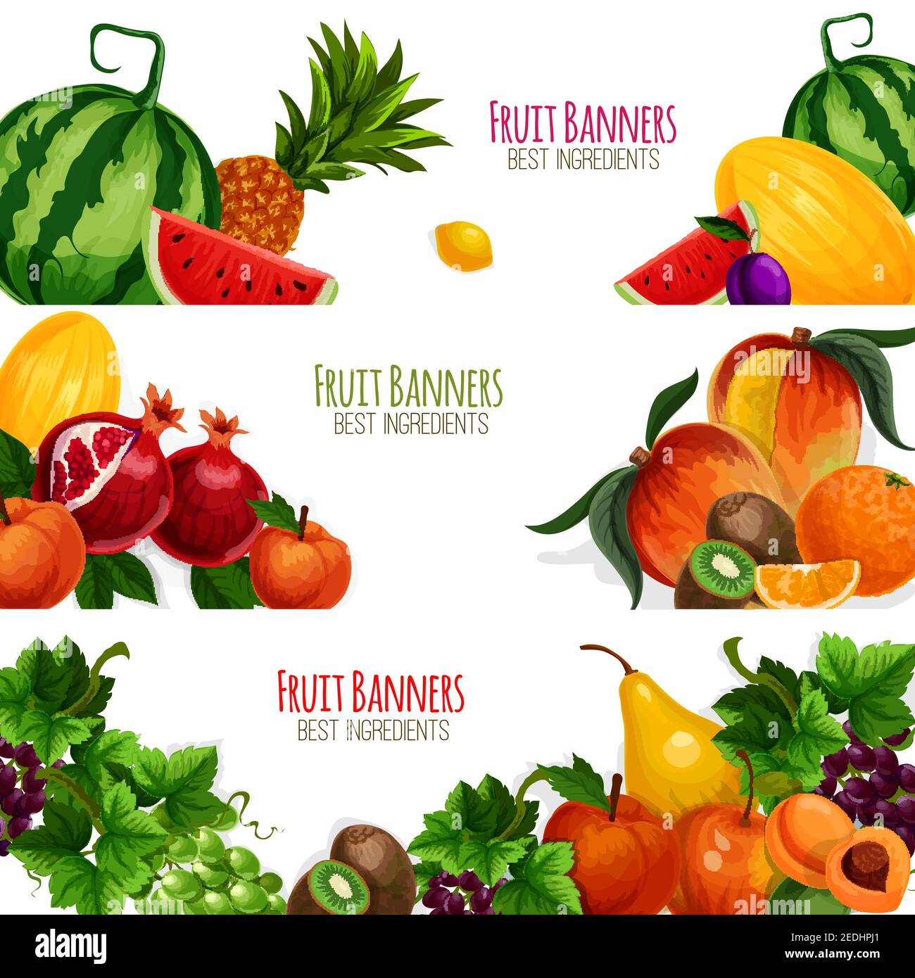 Fruits banners set. Farm ripe fruits harvest of vector juicy watermelon ...