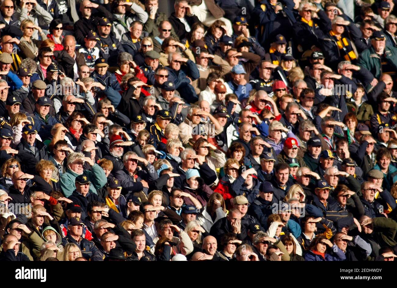 Worcester warriors fans hi-res stock photography and images - Alamy