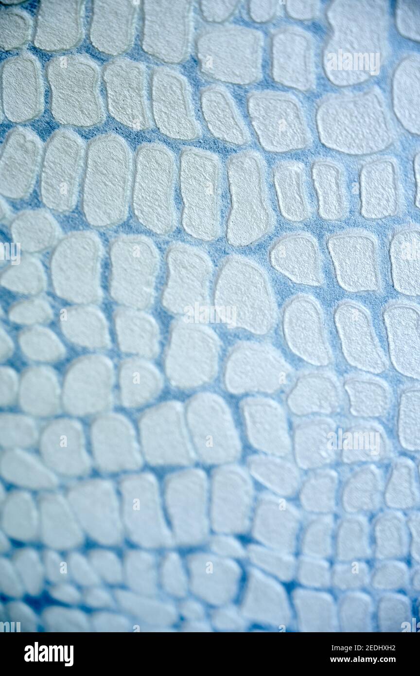 Blue snake skin texture background hi-res stock photography and images ...