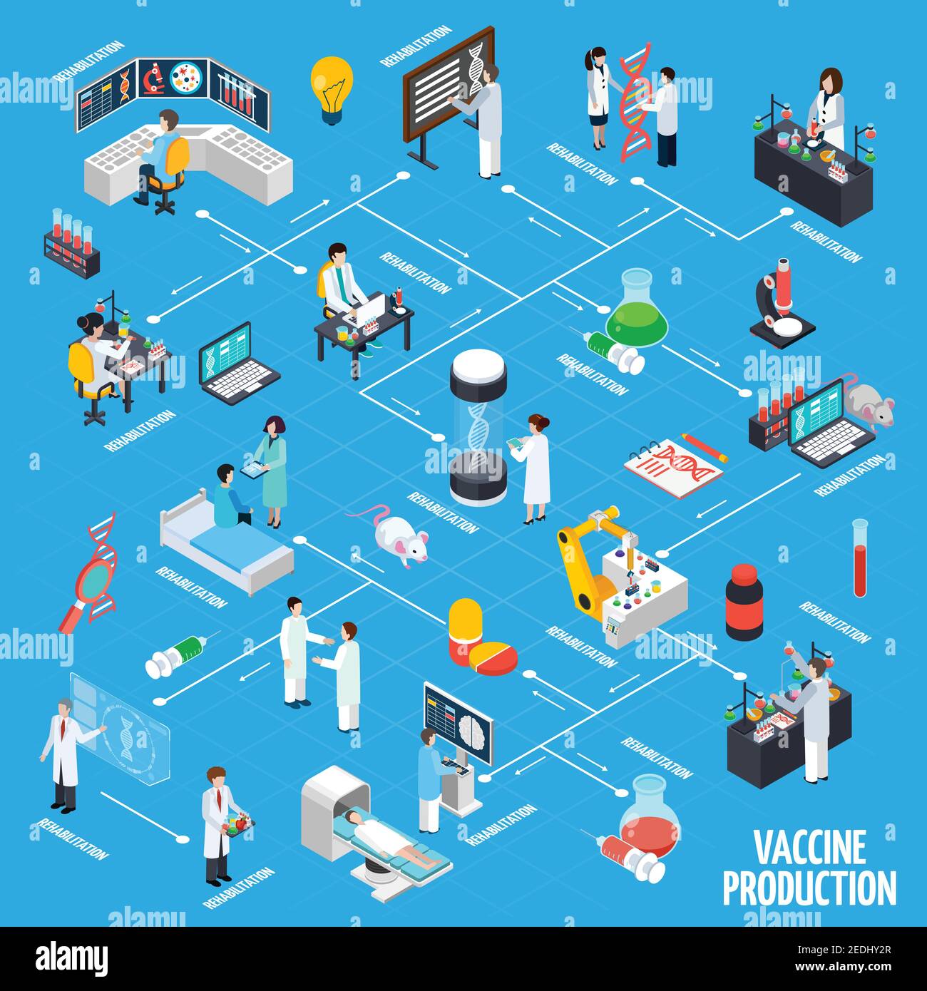 Vaccine production infographics layout with science experiments animal ...