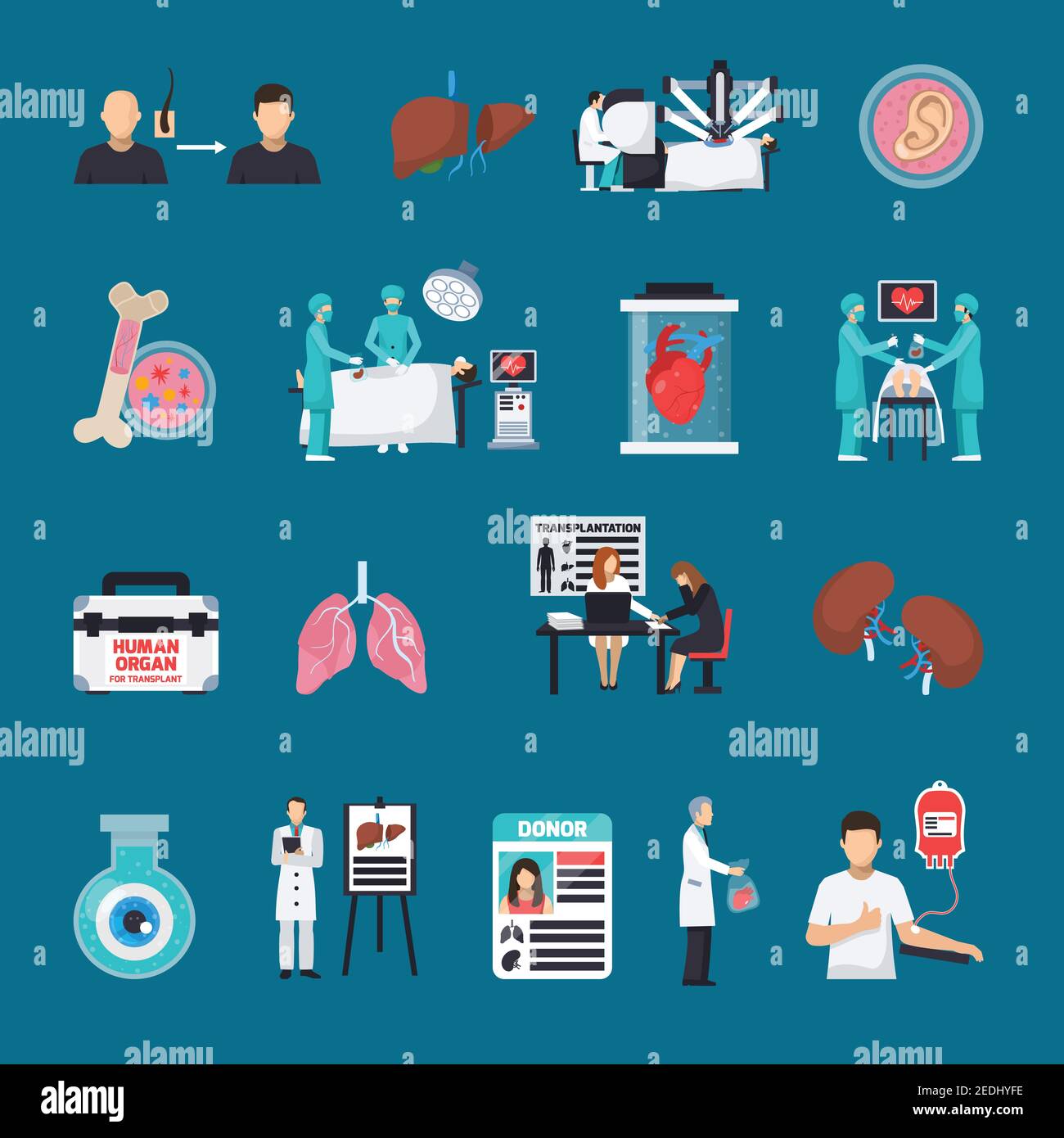 Liver transplant operation Stock Vector Images - Alamy