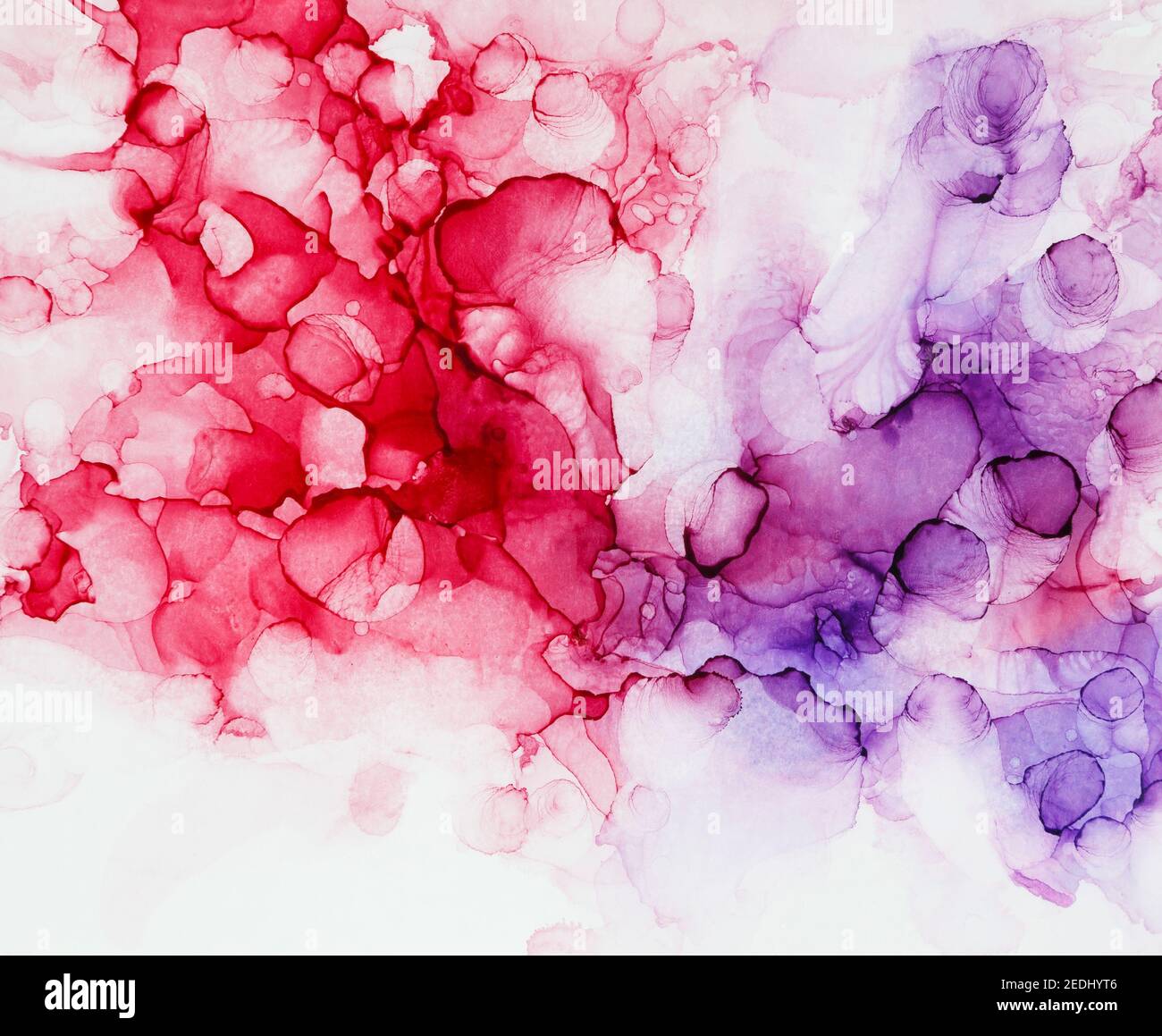 Macro close-up of red and purple alcohol ink layers and splashes ...