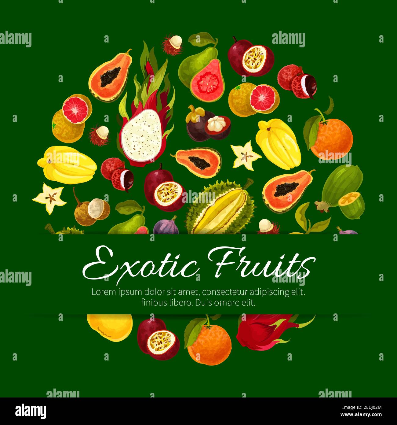Fruit poster of vector exotic fruits tropical fresh mango, carambola ...