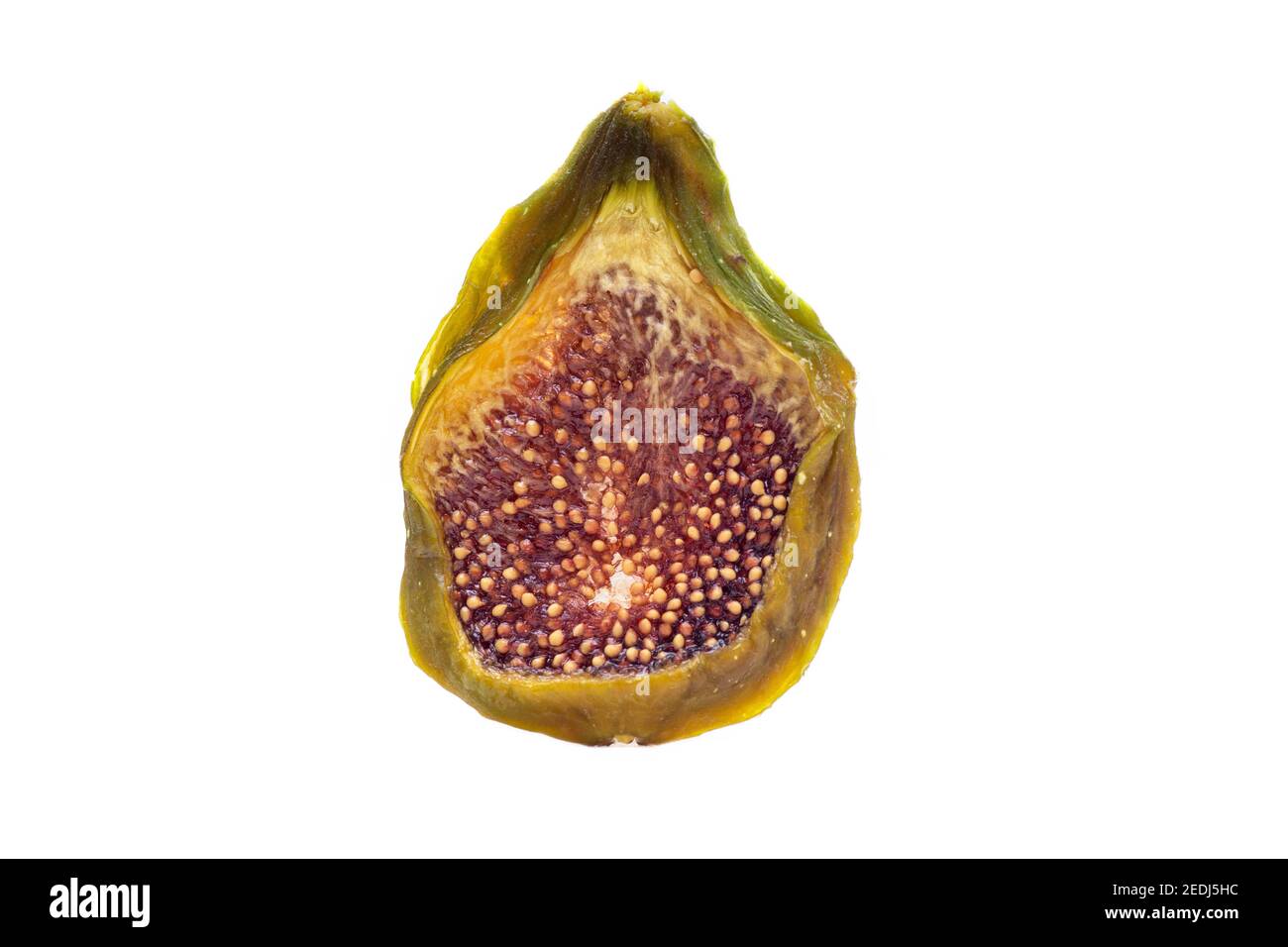 Dehydrated fig slice isolated on white Stock Photo - Alamy