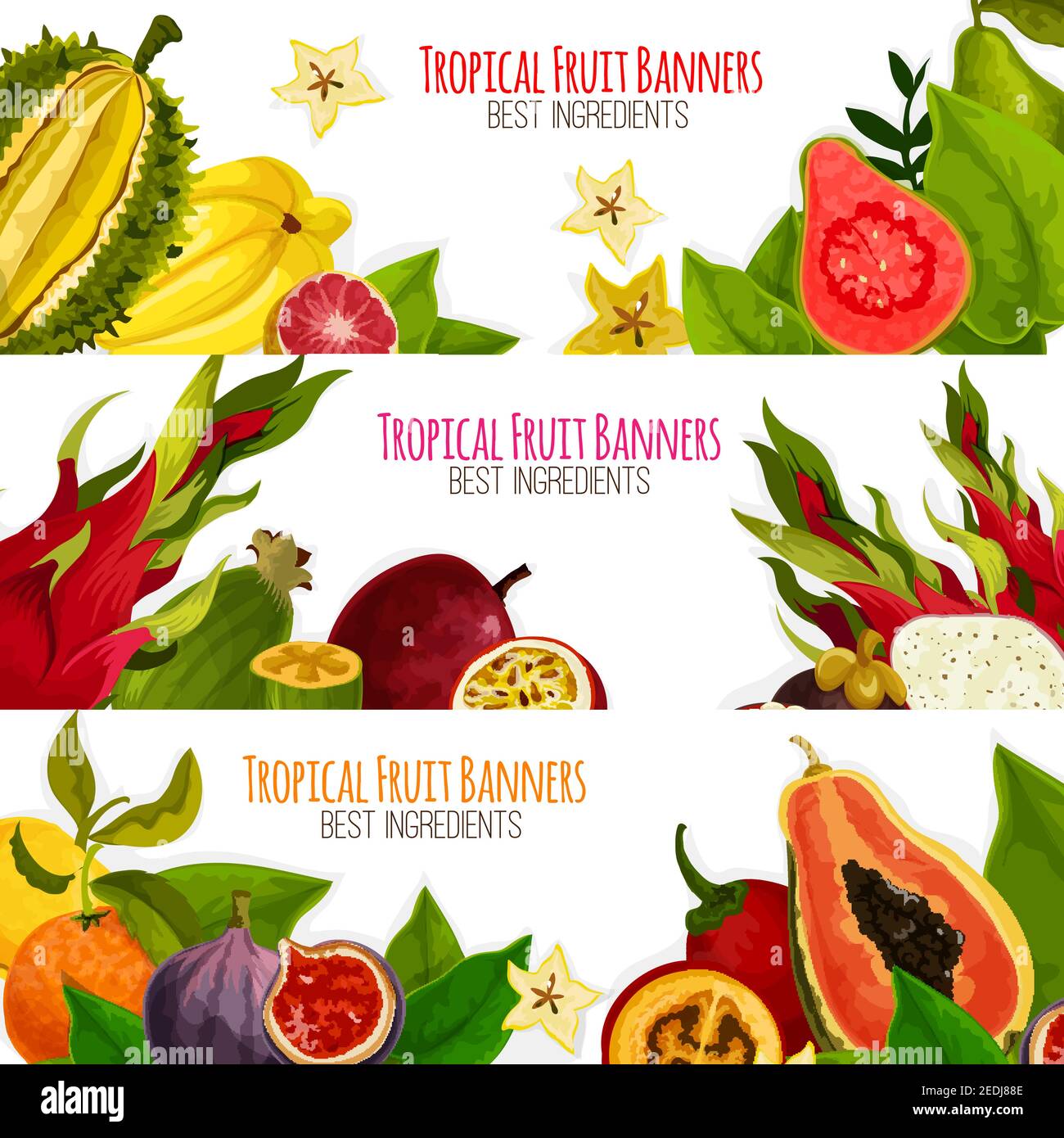 Fruit banners of exotic fruits with tropical fresh mango, grapefruit or ...