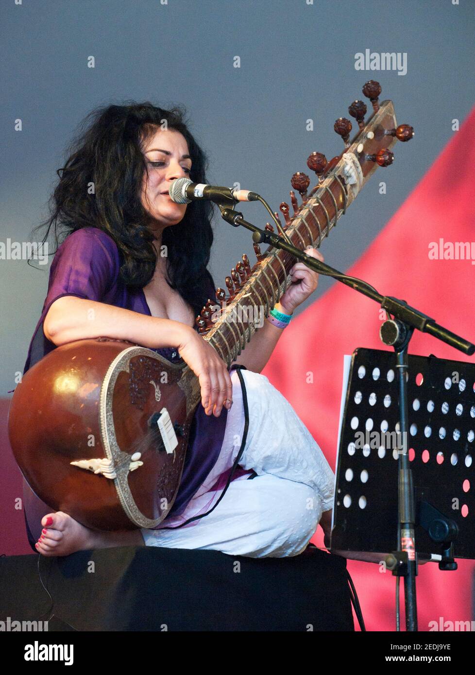 Sitar High Resolution Stock Photography and Images - Alamy
