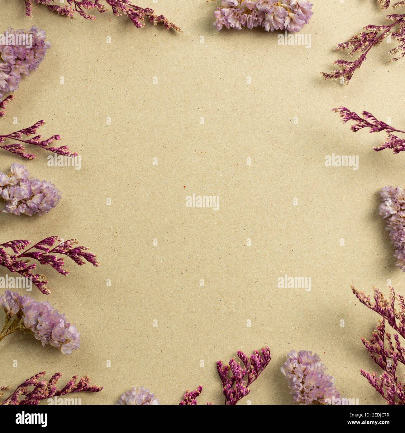 Pink statice and misty blue dry flowers on brown kraft paper background ...