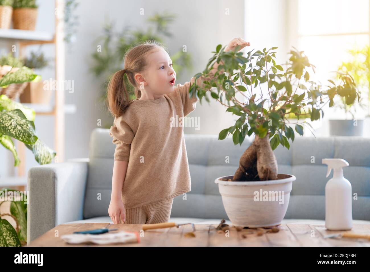 Cute child is caring for plants. Girl engaging in gardening at home ...