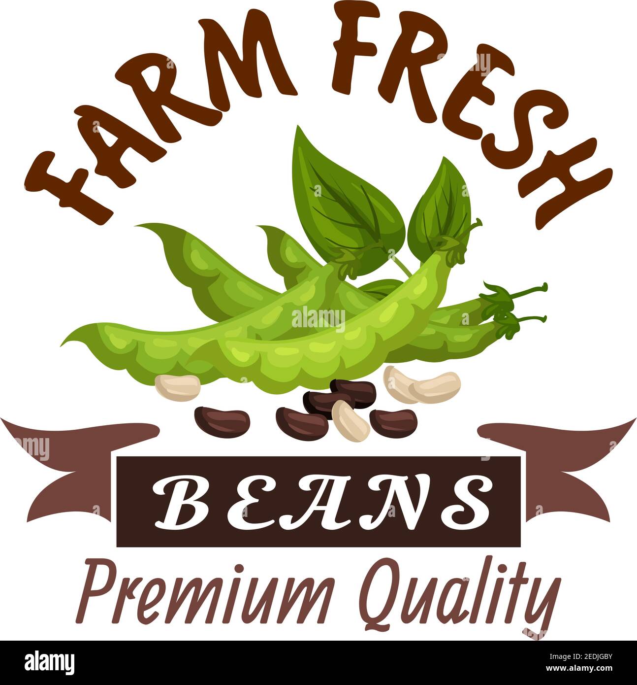 Beans vector icons or poster. Organic farm fresh legume bean pods or ...