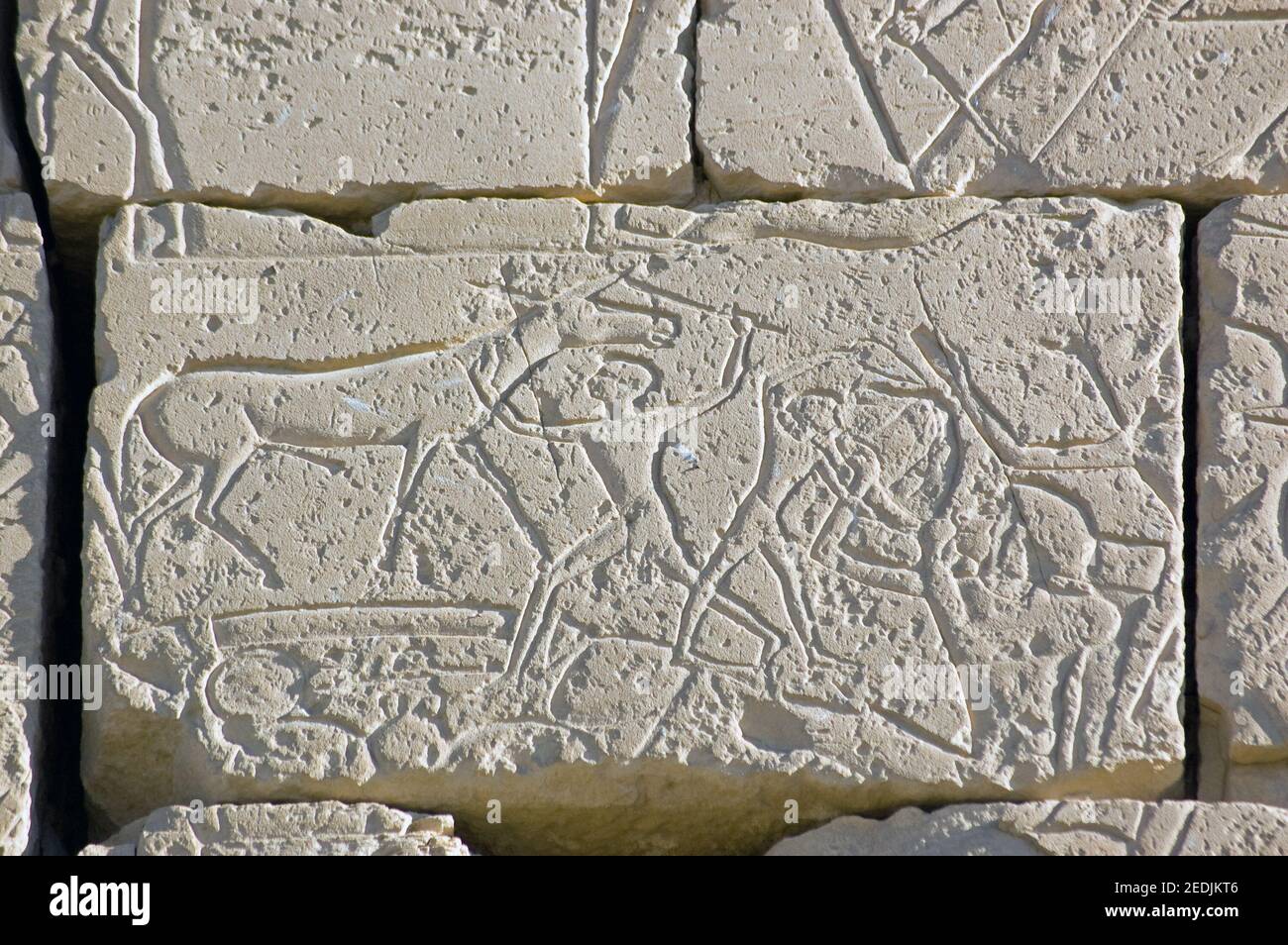 Carved stone frieze showing a horse being killed in battle. First Pylon ...