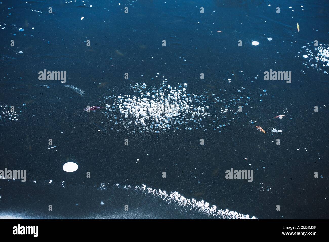 Winter pond frozen underwater hi-res stock photography and images - Alamy