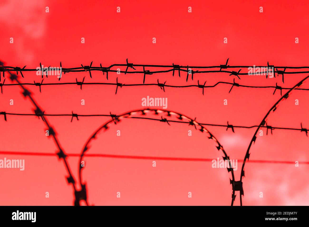 Human Suffering And Violation Of Human Rights