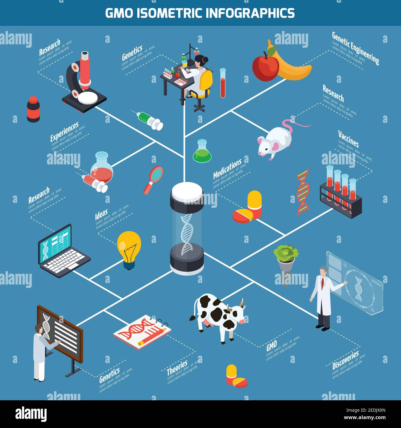 GMO isometric infographics layout from theoretical researches through genetic experiments to ...