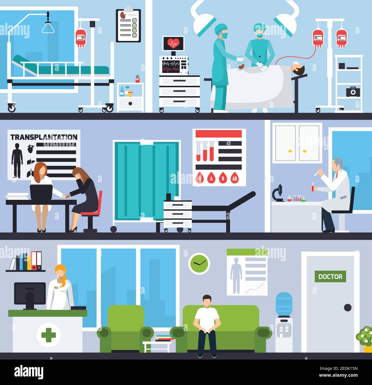 Transplantation horizontal compositions with patients and doctors in ...