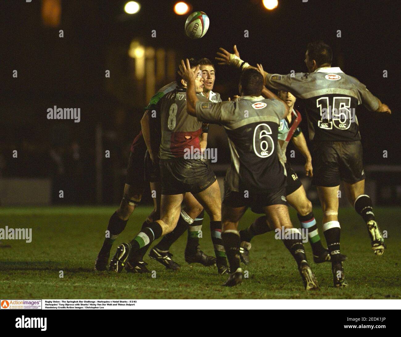 Thinus delport hi-res stock photography and images - Alamy