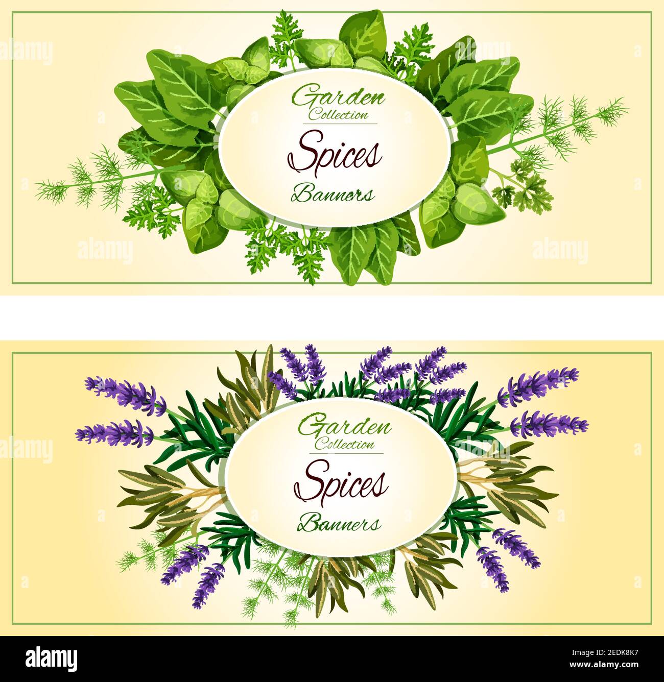 Tarragon and parsley Stock Vector Images - Alamy