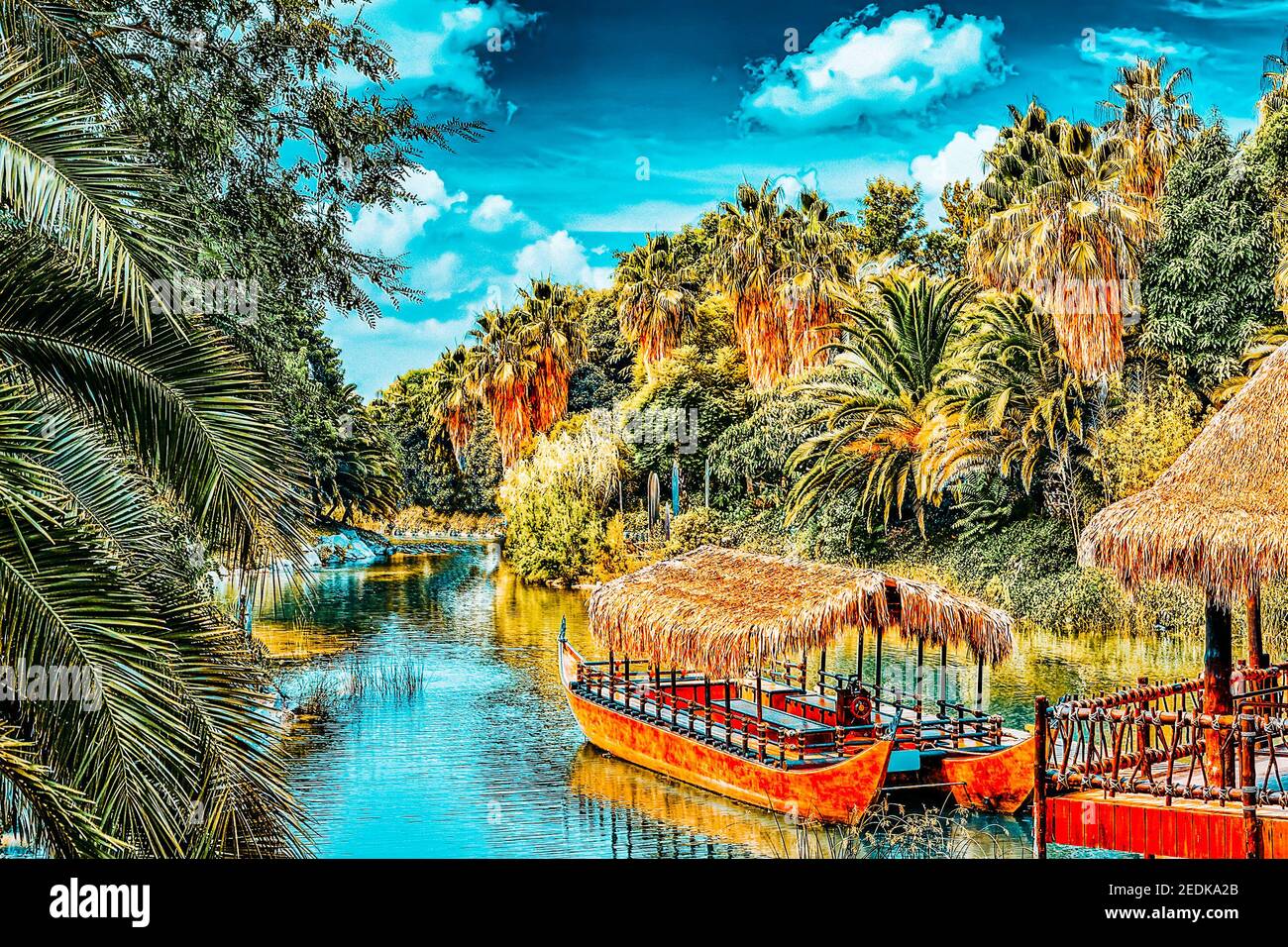 Rattan palm forest hi-res stock photography and images - Alamy