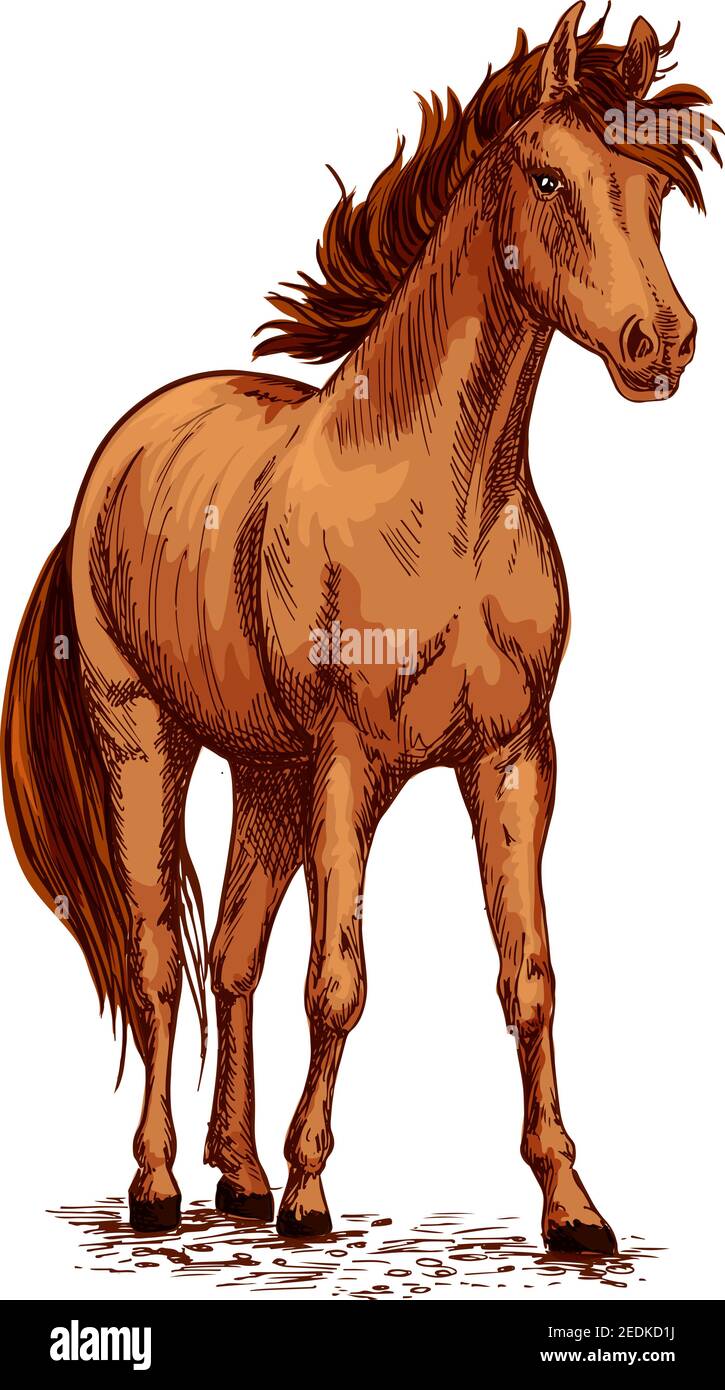 Hoof stomp Stock Vector Images - Alamy