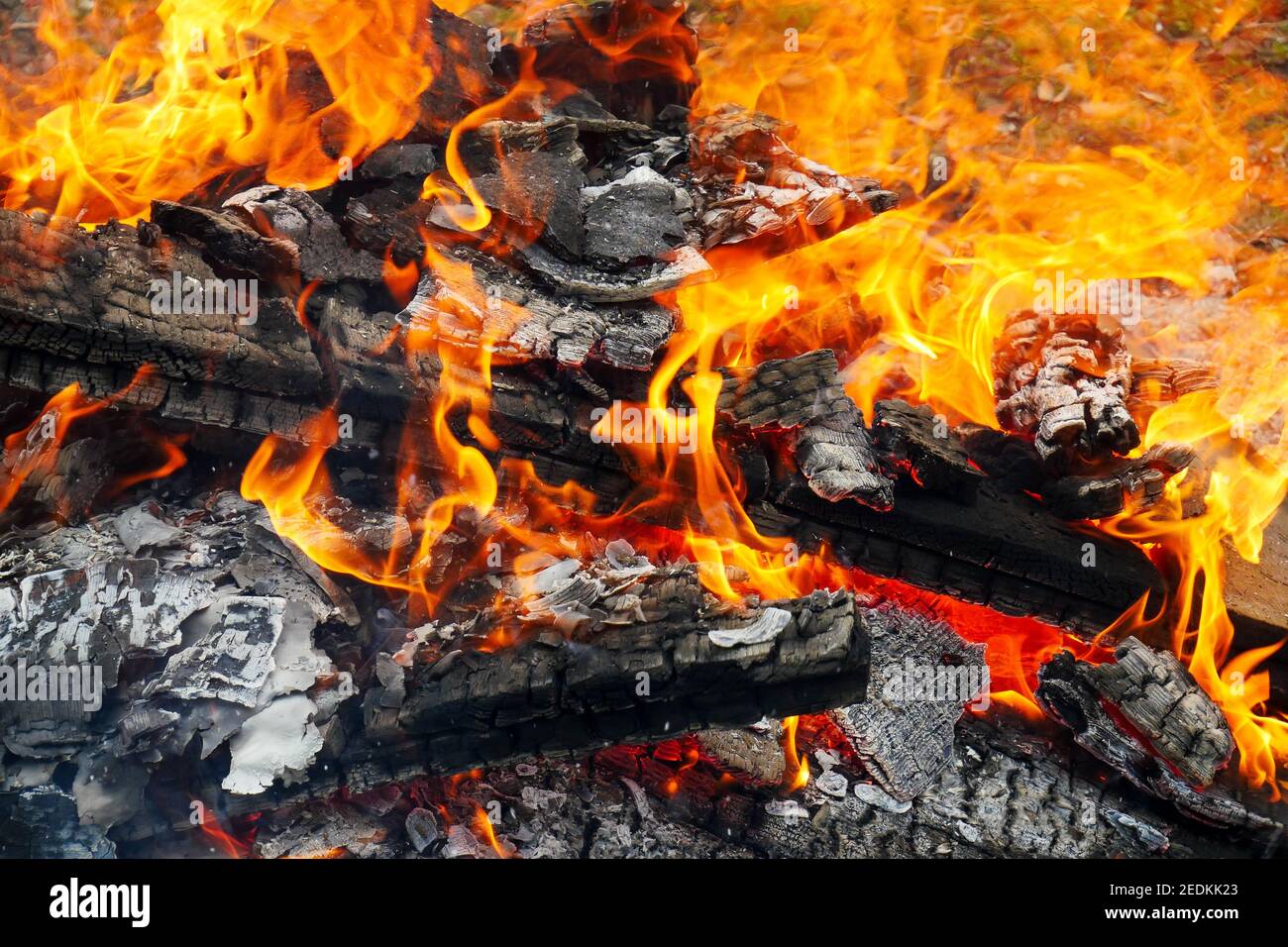 Burning wood, close-up view, France Stock Photo - Alamy