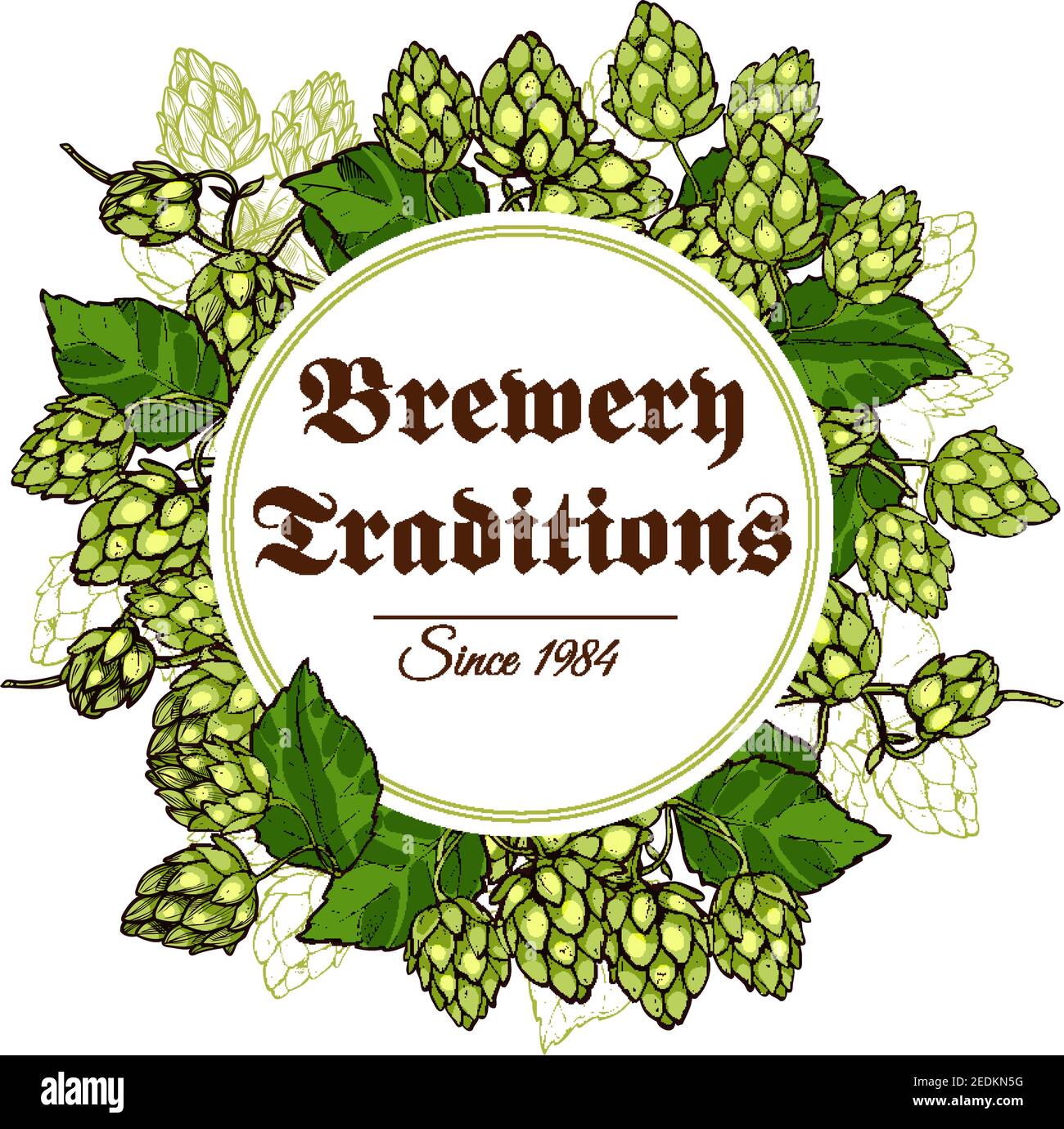 Hop vector poster of hops seed cones and flowers branches and green ...