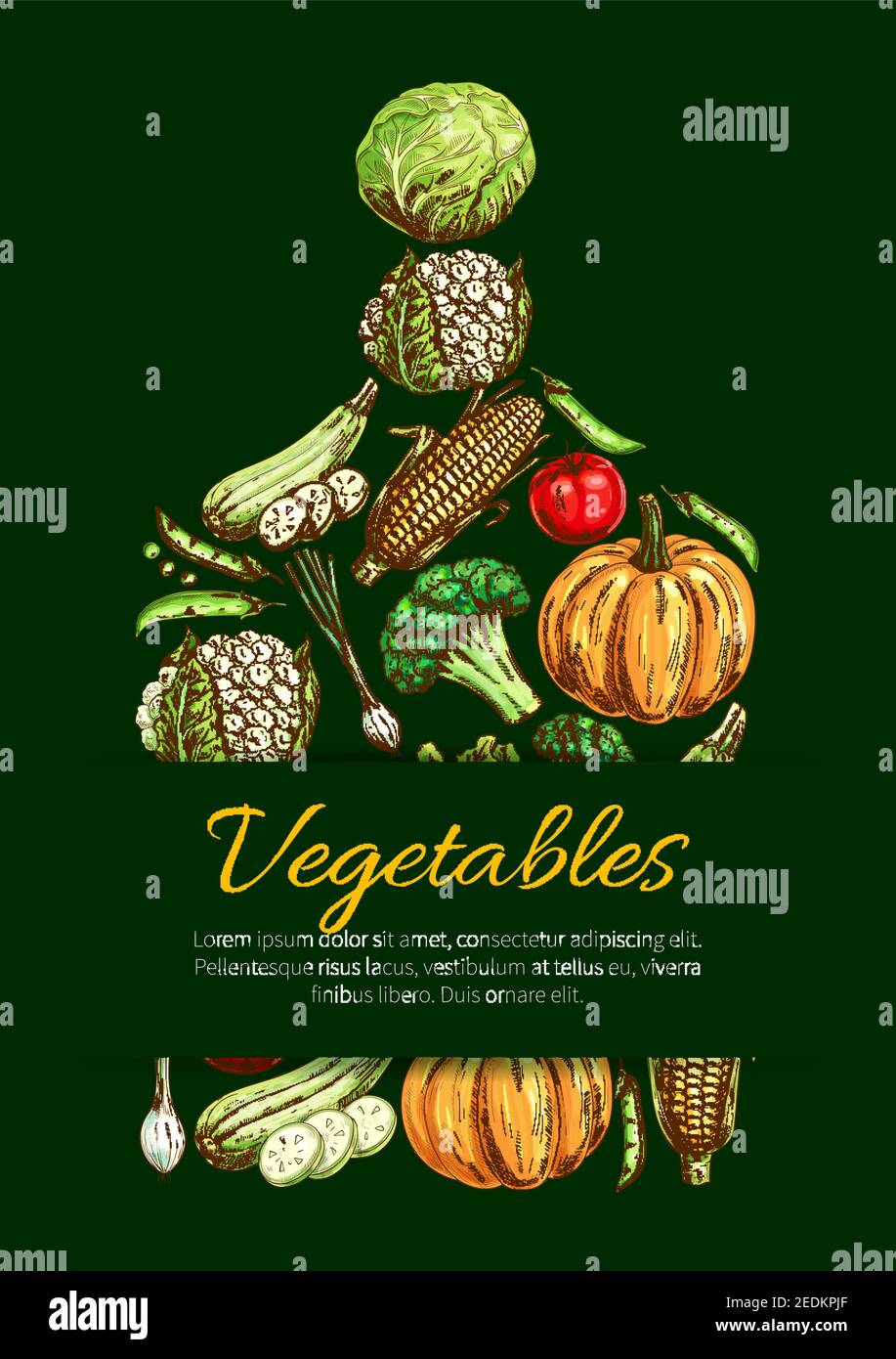 Vegetable cutting board vector poster of cauliflower, broccoli and ...