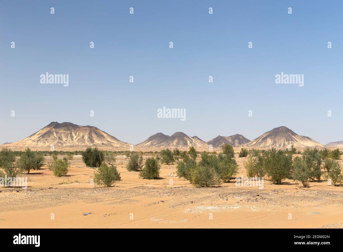 Libyan desert hi-res stock photography and images - Alamy