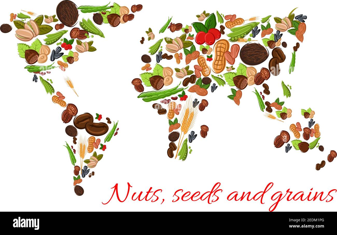 World map poster of vector nuts, grains, seeds. Vector nut, grain ...