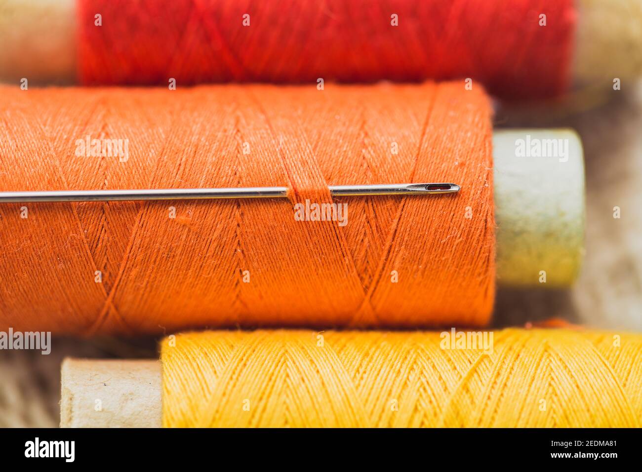 Tailor kit hi-res stock photography and images - Alamy