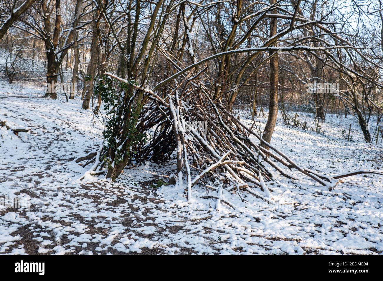 Lyon (France), February 14 2021. A forest after a snowfall Stock Photo ...