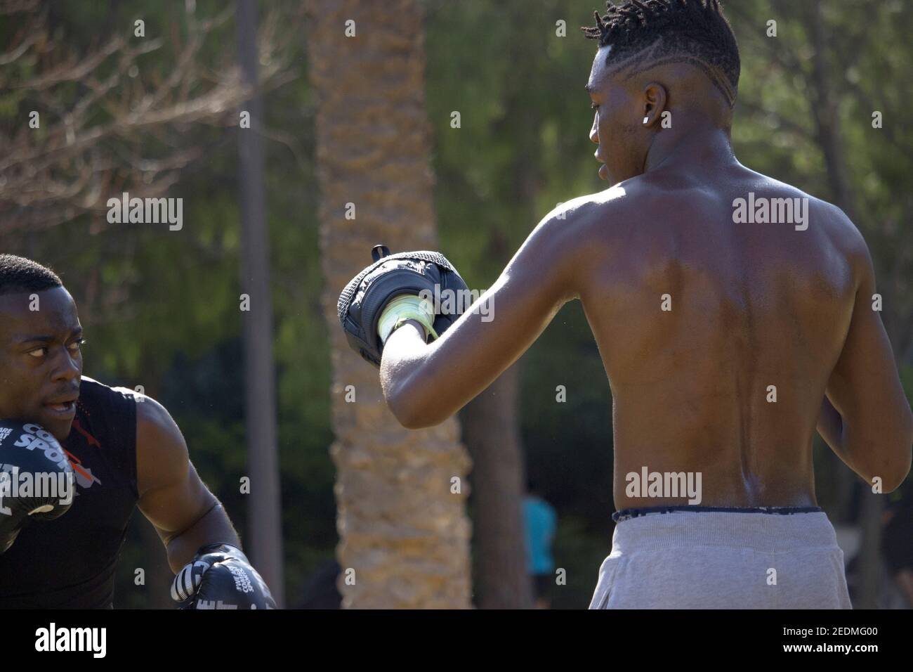Professional black boxer trains black boxer beginner with boxing gloves ...