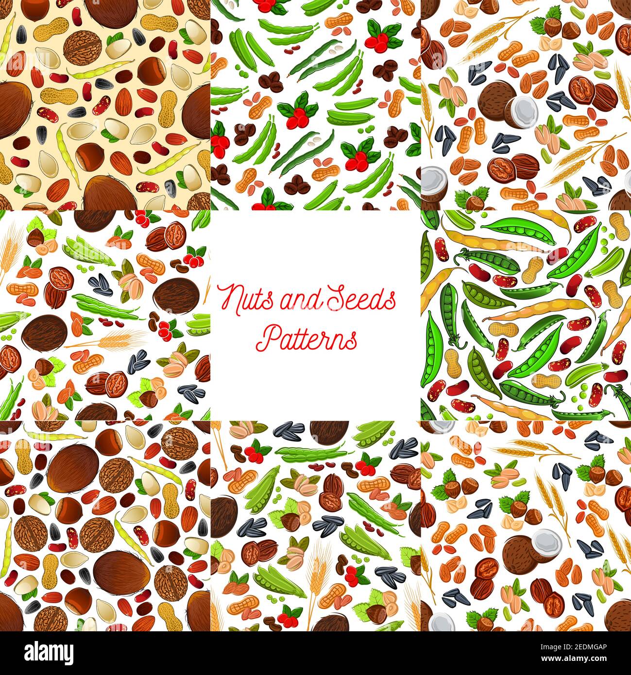 Nuts, grains, seeds vector seamless patterns of healthy nutritious grain, kernels, coconut ...