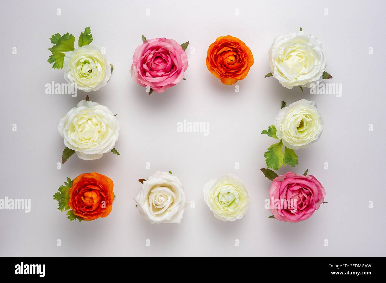 Creative layout of beautiful rose flowers on white background. Minimal ...